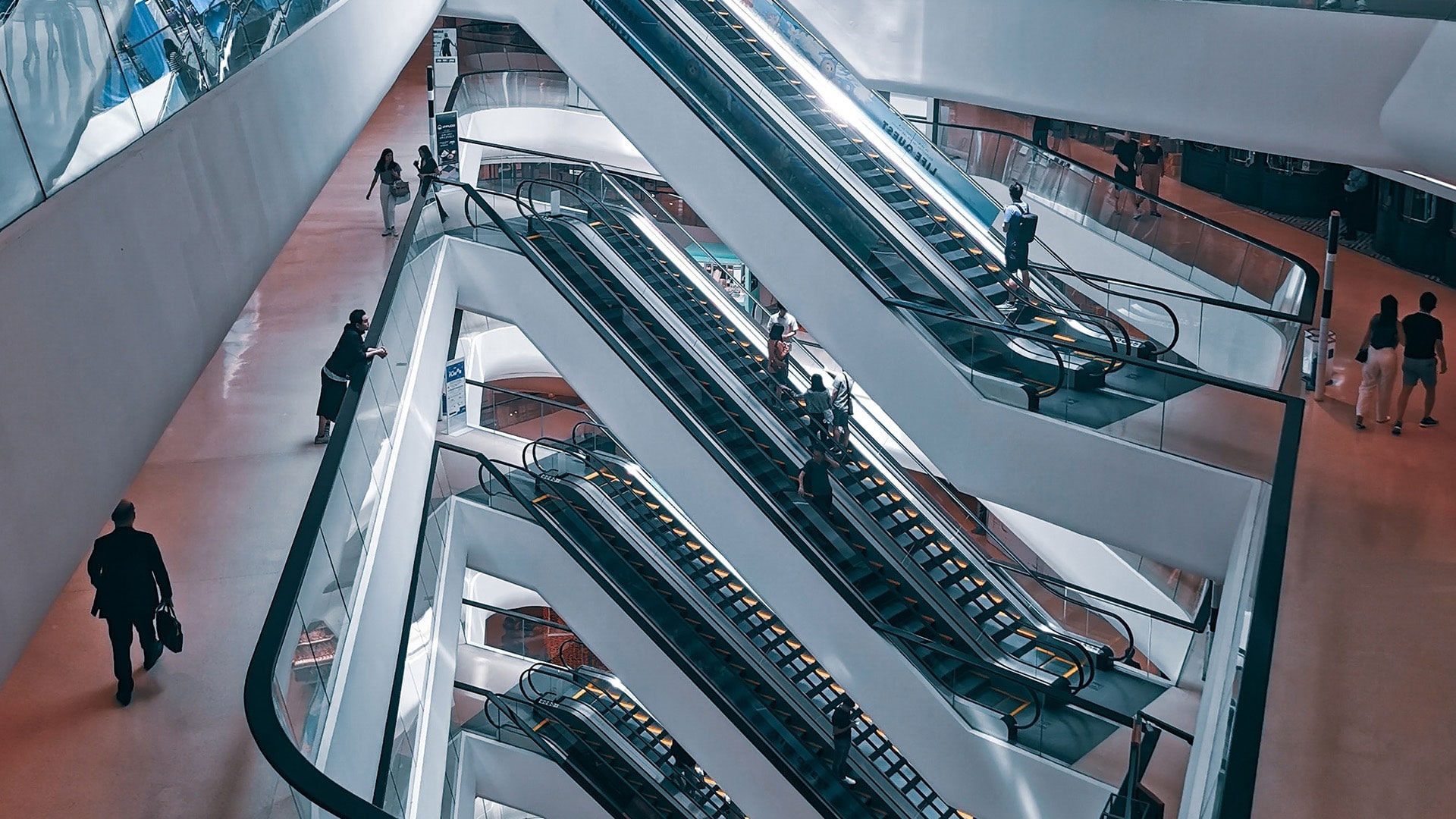 How to Move Up on the Distribution Management Curve